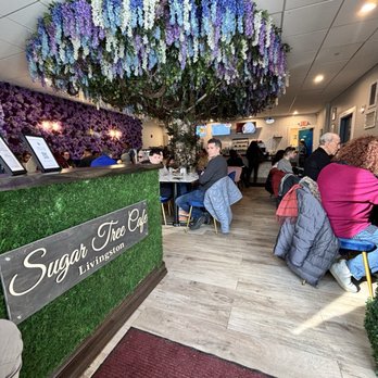 SUGAR TREE CAFE - Updated July 2025 - 51 Photos & 16 Reviews - 107 E Mt ...