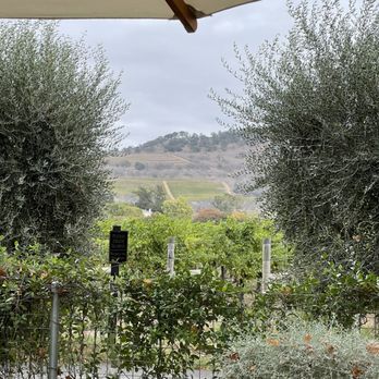 HONIG VINEYARD & WINERY - Updated September 2025 - 329 Photos & 412 ...