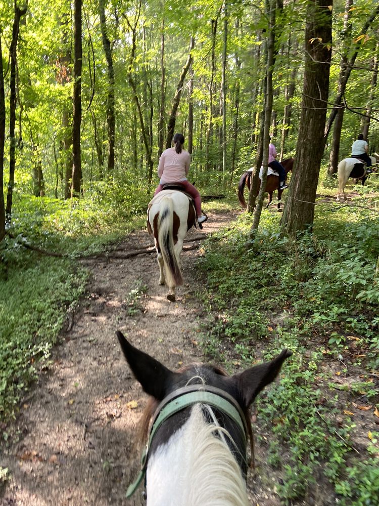 THE STABLES AT FRENCH LICK - 21 Photos & 10 Reviews - 8670 W State Rd ...