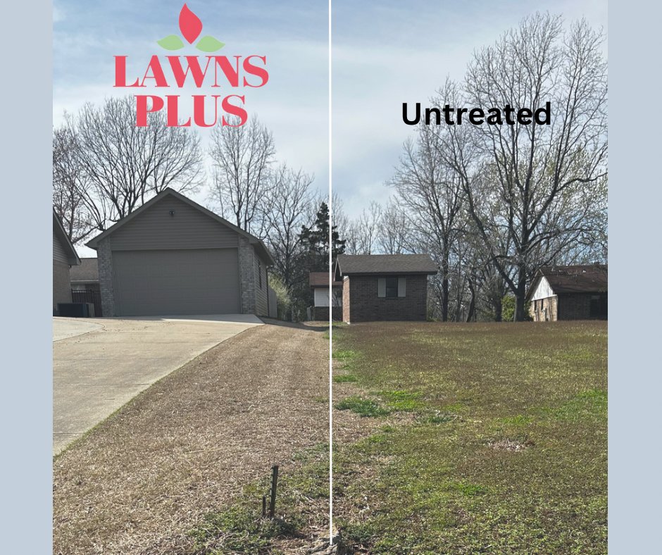 LAWNS PLUS SERVICES - Mountain Home, Arkansas - Lawn Services - Phone ...