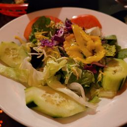 RIVA’S ITALIAN RESTAURANT - Updated August 2024 - 524 Photos & 802 ...