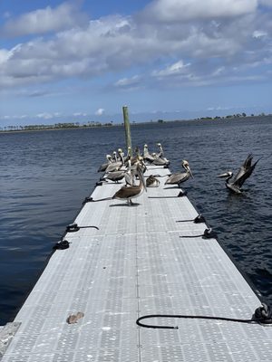 THE SALTY DONKEY - Updated December 2025 - 46 Photos & 28 Reviews - 99 ...