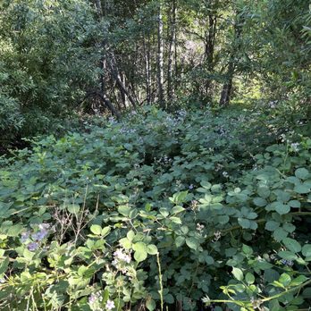 BONITA RANCH CAMPGROUND & RV SITES - Updated October 2025 - 190 Photos ...