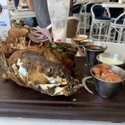 LION FISH - 882 Photos & 366 Reviews - Erasmo Castellanos Q. 1857 ...