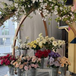 HI-LAWN - Updated December 2025 - 246 Photos & 81 Reviews - 1309 5th St ...