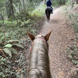 FIVE BROOKS RANCH - 185 Photos & 308 Reviews - Horseback Riding - 8001 ...