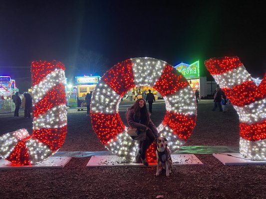 BULL RUN FESTIVAL OF LIGHTS - Updated January 2026 - 29 Photos & 15 ...