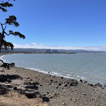 COYOTE POINT RECREATION AREA - Updated December 2024 - 642 Photos & 234 ...