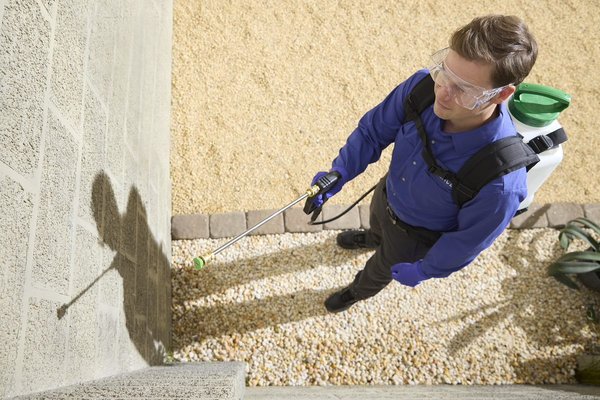 RESPONSIBLE PEST & SCORPION CONTROL - Updated October 2025 - 58 Photos ...