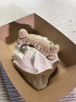 CAROUSEL WATER & FUN PARK - Updated October 2025 - 14 Photos & 15 ...