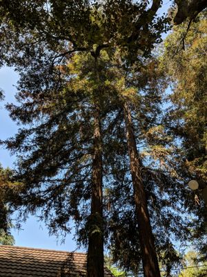 CATALINA VERDUGO ADOBE - Updated September 2025 - 63 Photos & 14 ...