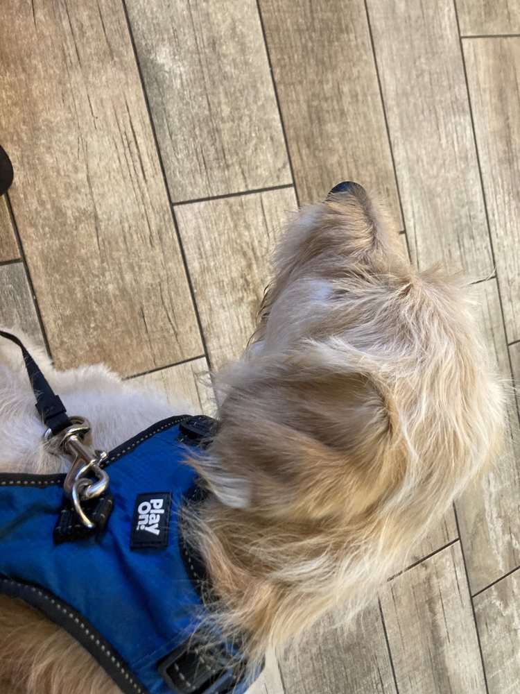 PENNY PAWS ANIMAL HOSPITAL - RICHLAND HILLS - Updated December 2025 ...