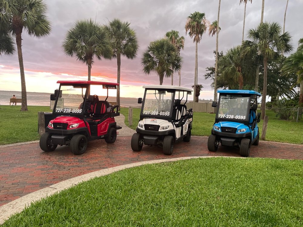 LET’S GO CARTING! - Updated May 2024 - 42 Photos - Dunedin, Florida ...