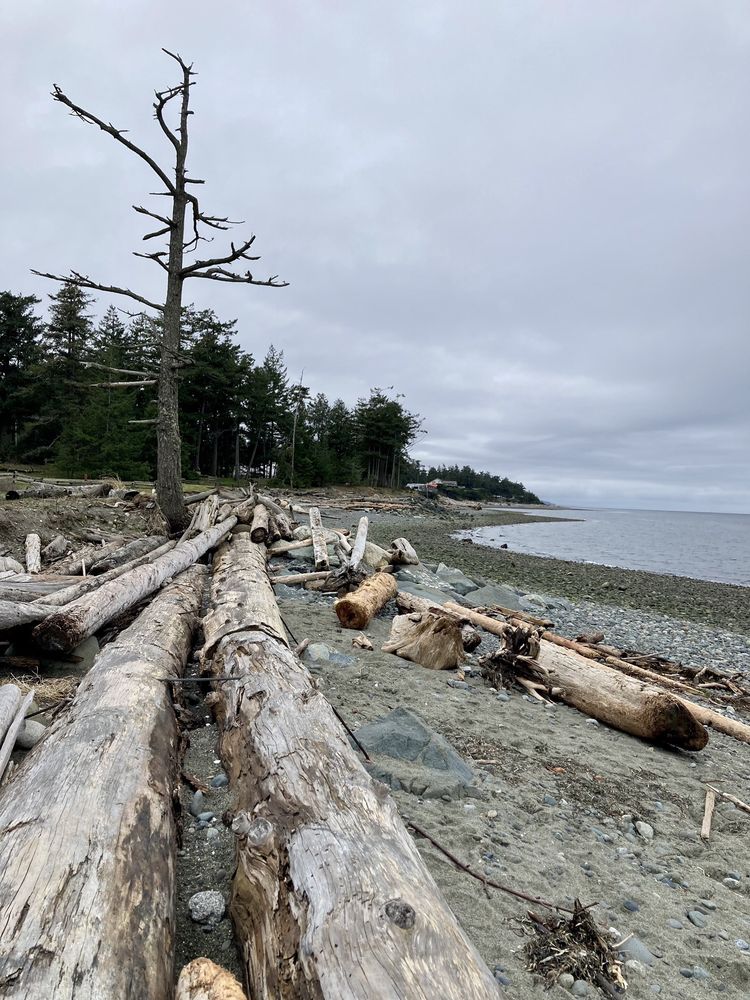 KIN BEACH PROVINCIAL PARK - Updated January 2025 - 1700 Astra Road ...