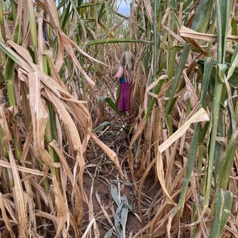 VERTUCCIO FARMS - Updated October 2024 - 271 Photos & 146 Reviews ...