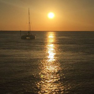 MARCO ISLAND PRINCESS - 71 Photos & 46 Reviews - 951 Bald Eagle Dr ...