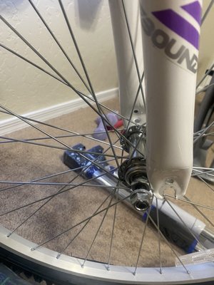 NELLIS AUCTION - 26 Photos & 79 Reviews - 1402 S 40th Ave, Phoenix ...