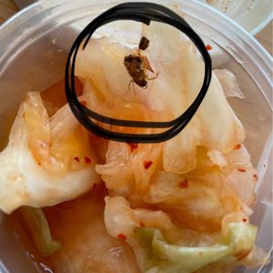 KIM CHEE II RESTAURANT - 535 Photos & 348 Reviews - 3569 Waialae Ave ...