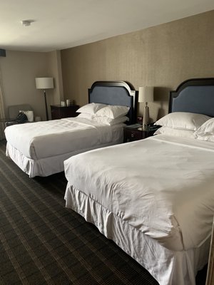 SHERATON CHARLOTTE AIRPORT HOTEL - 89 Photos & 85 Reviews - 3315 Scott ...