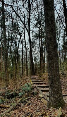 JESSE HELM RED TRAIL LOOP - Updated August 2025 - 16 Photos - 3230 ...