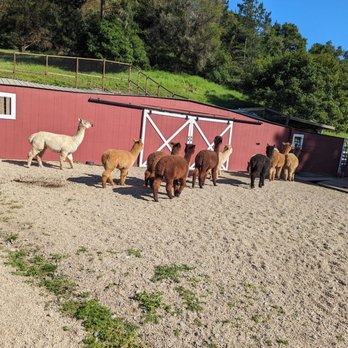 R2 HILLSIDE RANCH - Updated August 2024 - 137 Photos & 30 Reviews - 780 ...