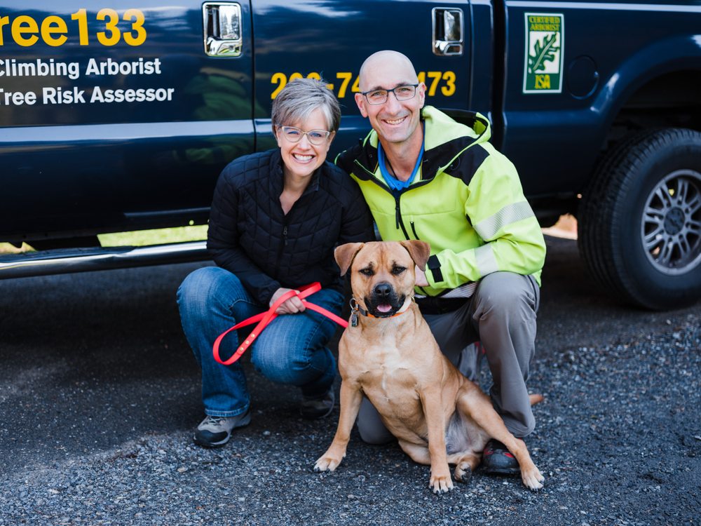 TREE133 - Updated January 2025 - 14 Photos & 27 Reviews - 12408 17th ...