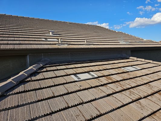 ELITE PEST PROS - Updated June 2026 - 95 Photos & 18 Reviews - 23832 N ...