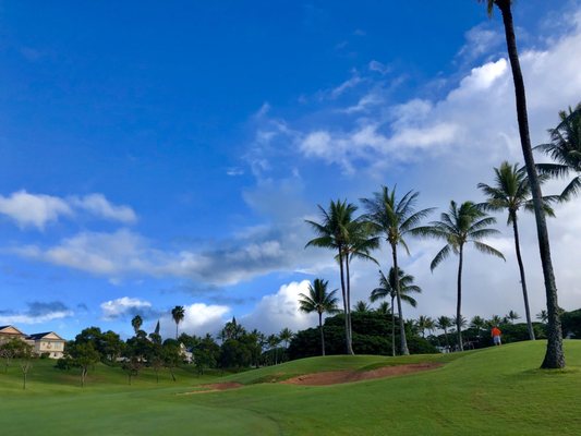 WAIKELE COUNTRY CLUB - Updated September 2024 - 255 Photos & 151 ...