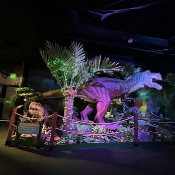 DINOSAUR OUTPOST - Updated July 2025 - 32 Photos & 19 Reviews - 6569 S ...