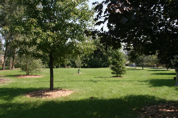 WILD MEADOWS TRACE - Updated July 2025 - Paralleling Prairie Path ...