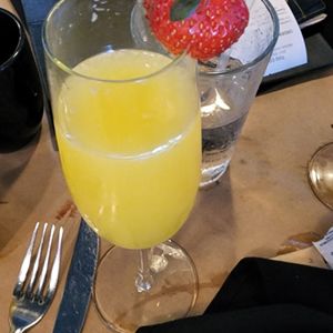 TOO COOL CAFE - 485 Photos & 501 Reviews - 2051 S Patrick Dr, Indian ...