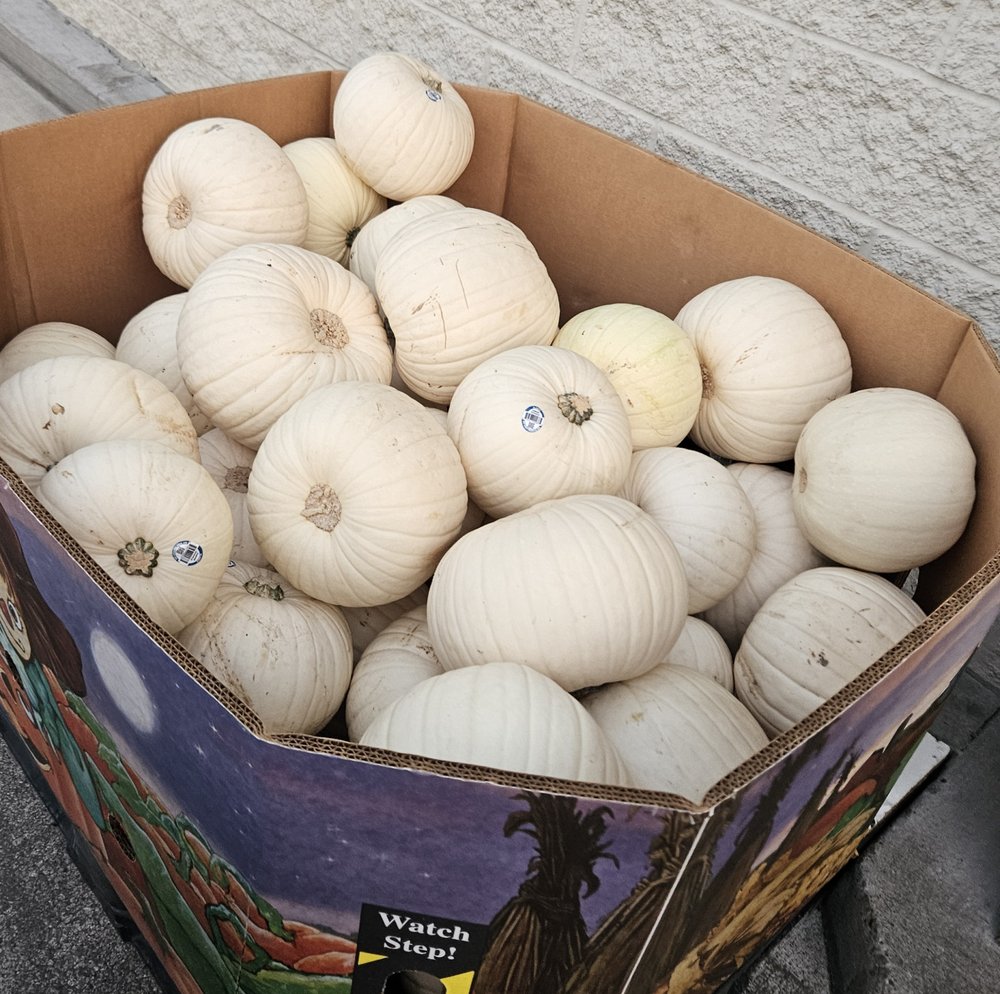 SAFEWAY - Updated January 2026 - 77 Photos & 72 Reviews - 6194 SW ...