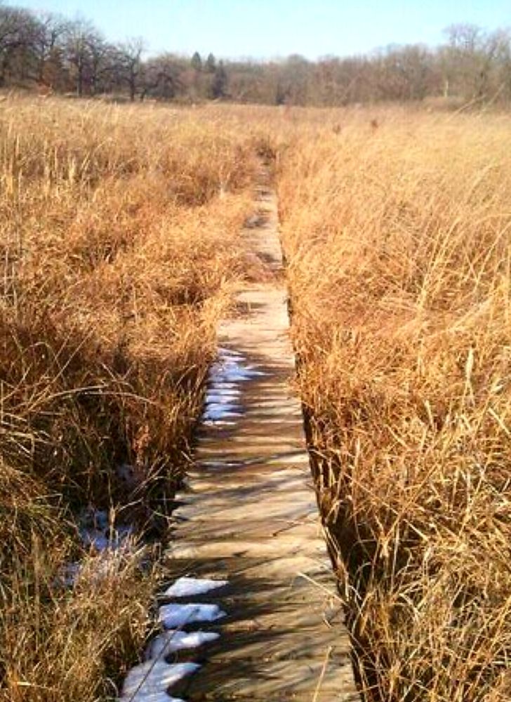 BLUFF SPRING FEN - Updated May 2024 - 10 Photos - 41W039 Bowes Bend Dr ...