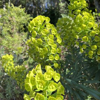 HOWE STREET STAIRS - Updated December 2025 - 29 Photos & 28 Reviews ...