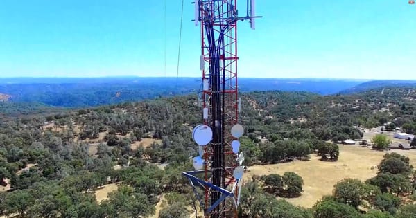 CAL NET - Updated October 2025 - 21 Photos & 115 Reviews - 4101 Wild ...