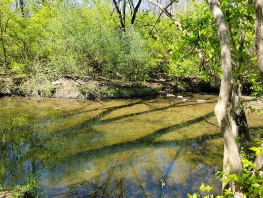 BIG RUN PARK - Updated October 2025 - 14 Photos - 4201 Clime Rd ...