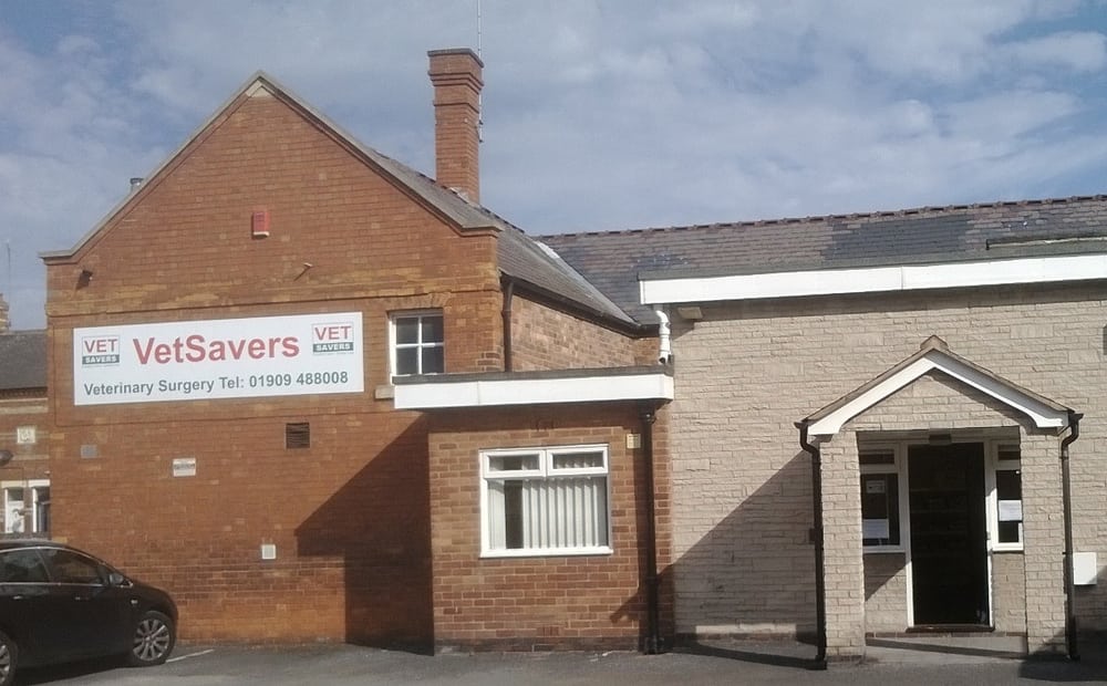 VET SAVERS - Norfolk Street, Worksop, Nottinghamshire, United Kingdom ...