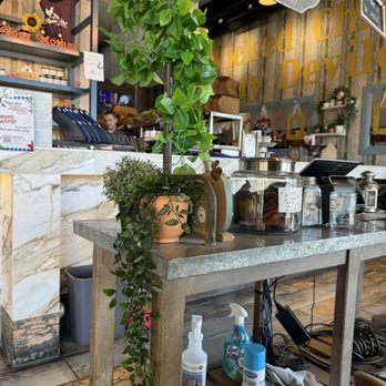 MAMA BIRD - Updated January 2025 - 4218 Photos & 3870 Reviews - 10550 ...