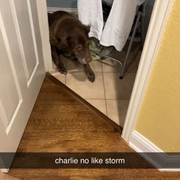 MAIN EVENT GRAPEVINE - Updated December 2025 - 101 Photos & 184 Reviews ...