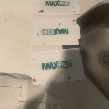 SW MANAGEMENT - Updated July 2025 - 26 Photos & 138 Reviews - 511 E ...