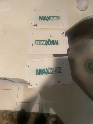 SW MANAGEMENT - Updated December 2025 - 26 Photos & 137 Reviews - 511 E ...