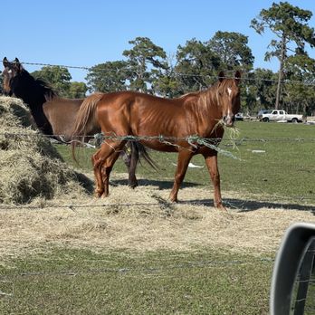 SHOOT SHACK GUN RANGE - Updated March 2025 - 23 Photos & 30 Reviews ...