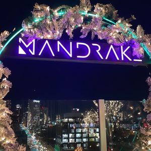 MANDRAKE ROOFTOP - 245 Photos & 75 Reviews - 808 N High St, Columbus ...
