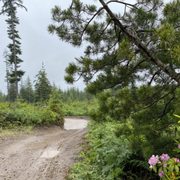 TAHUYA STATE FOREST 4X4 PARK - 77 Photos & 12 Reviews - Belfair ...