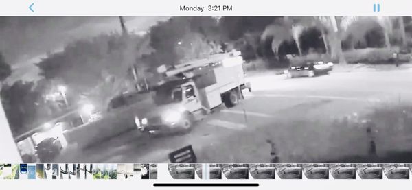 LEWIS TREE SERVICE - Updated December 2025 - 21 Photos & 31 Reviews ...