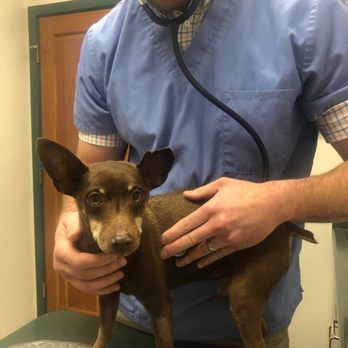 APPLE TREE COVE ANIMAL HOSPITAL - Updated April 2026 - 10 Photos & 22 ...