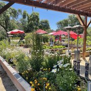 MUSTARDS GRILL - 2818 Photos & 2330 Reviews - American (New) - 7399 St ...