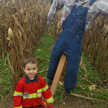 MATTHYS FARM MARKET - Updated December 2025 - 57754 Crumstown Hwy ...