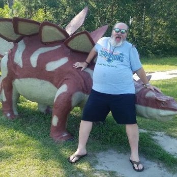 DINOSAURS IN THE WOODS - Updated September 2025 - 41 Photos - 26510 ...