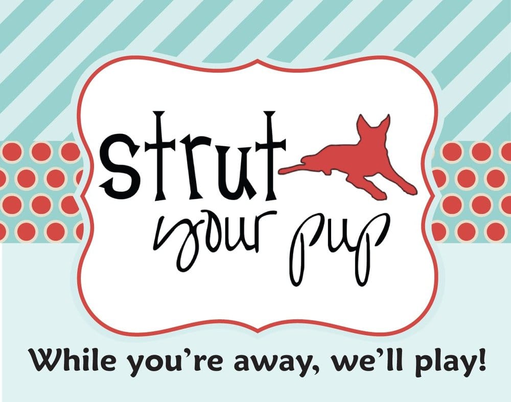 STRUT YOUR PUP - Parker, CO - Yelp
